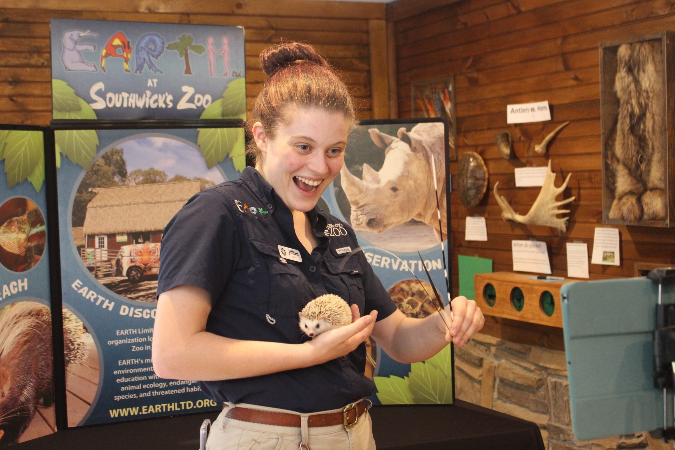 Virtual Zoomobiles - EARTH Ltd.